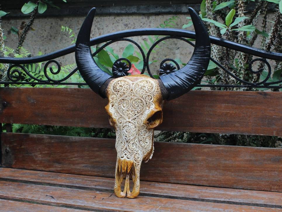 Buffalo Skull Carving Wall Decor REAL Hand Carved Buffalo - Etsy
