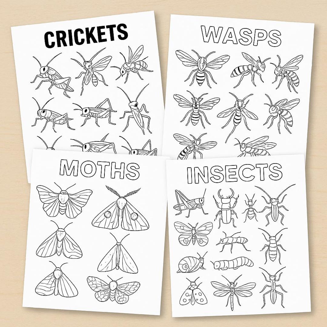 25 Insect Bug Coloring Pages Home School Summer Kids Adults Children ...