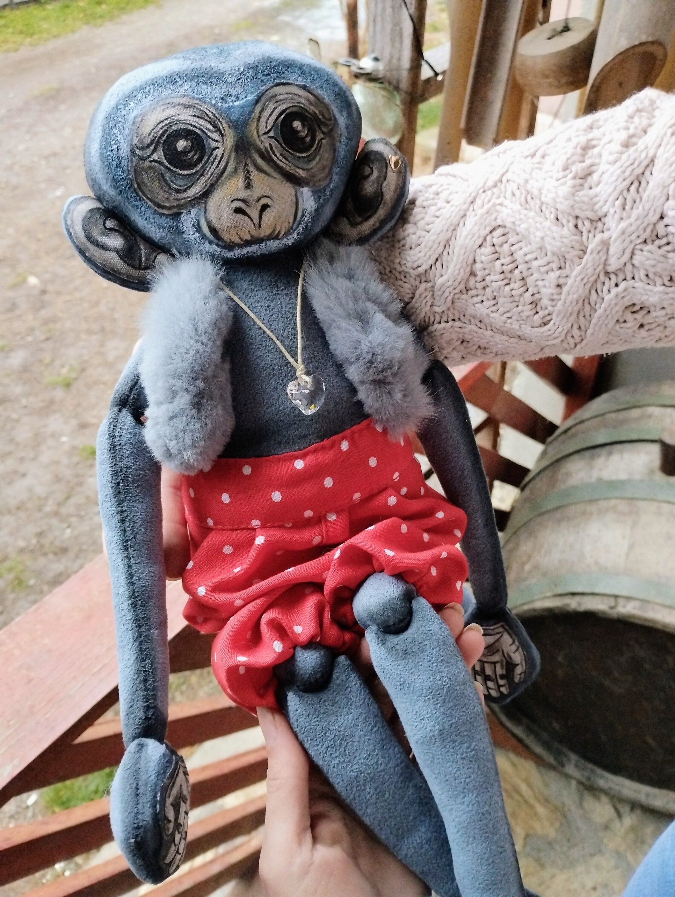 Baby Monkey In Clothes