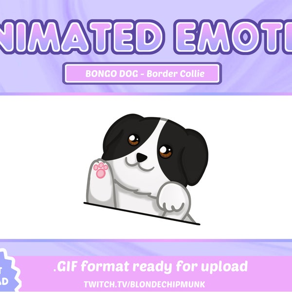 Animated Border - Etsy