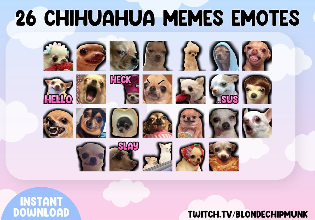 26x Kawaii Chihuahua Dog Memes Emotes for Twitch Youtube Discord Cute ...