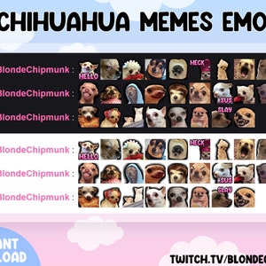 26x Kawaii Chihuahua Dog Memes Emotes for Twitch Youtube Discord Cute ...