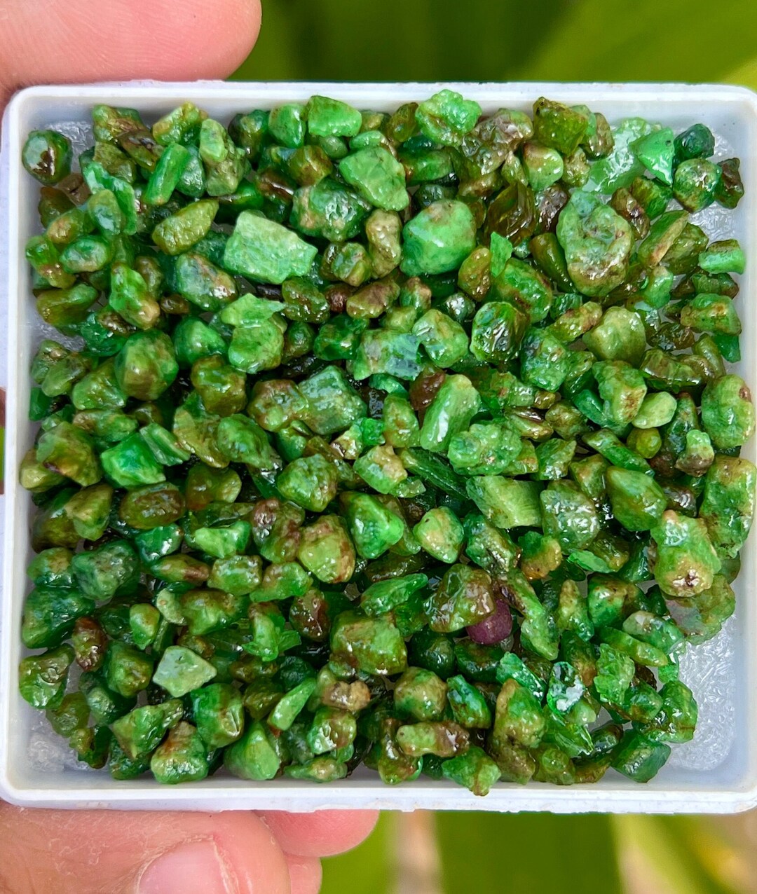 Tsavorite Raw Natural Tsavorite Rough Tsavorite Crystal 201 - Etsy