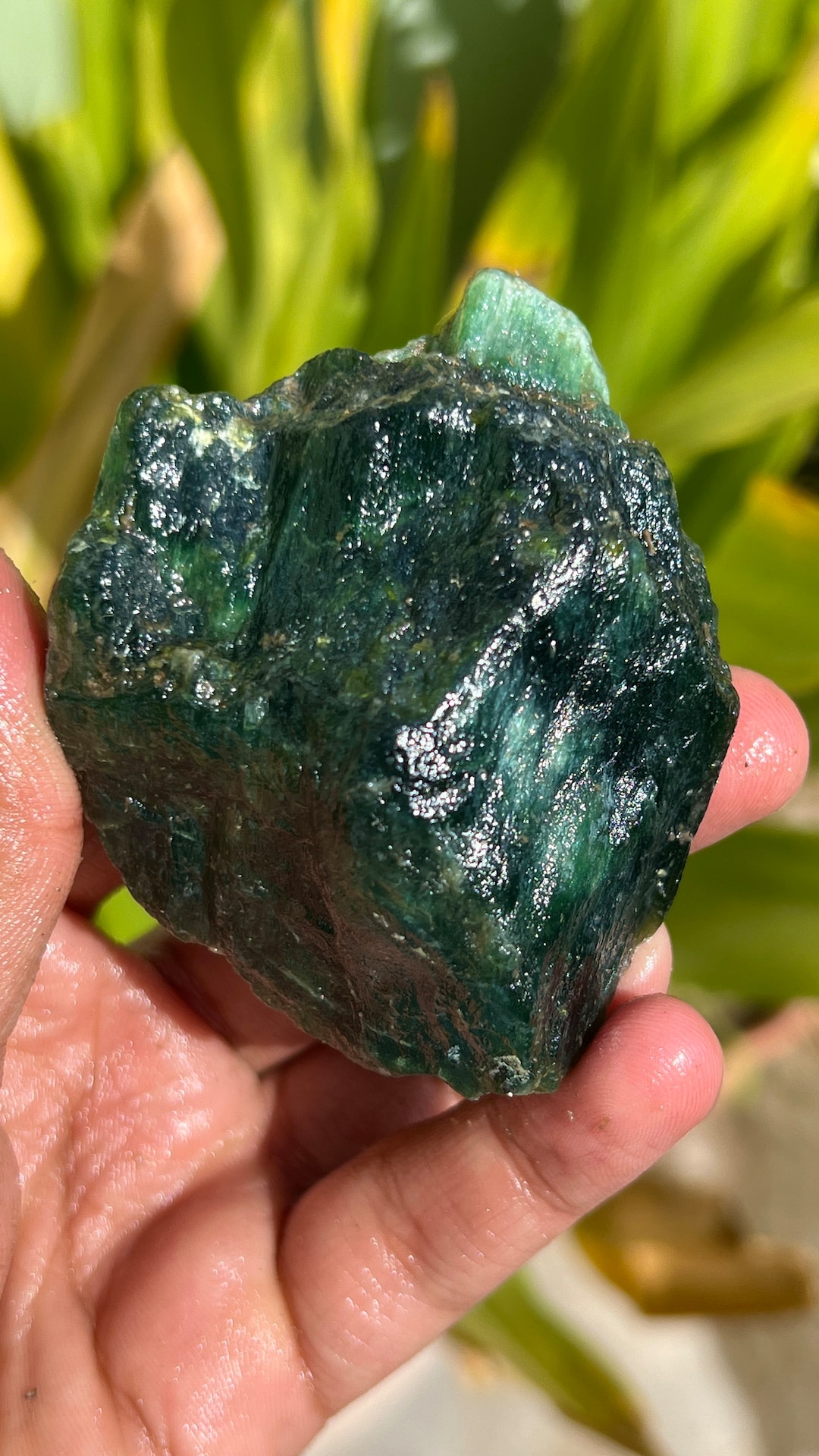 Natural Serpentine Raw Serpentine Rough Chakras Base 524.30 Carat ...
