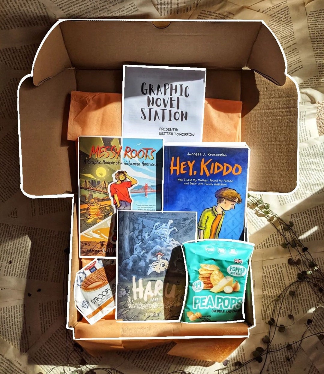 Graphic Novel Subscription Box - Mystery Box - Etsy