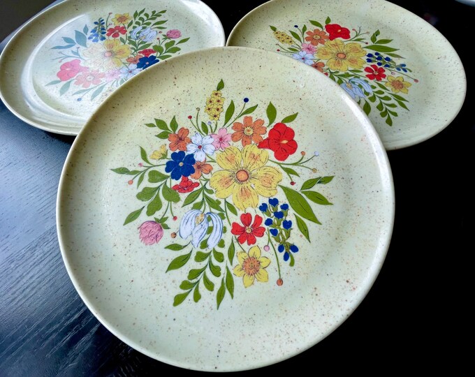 Three Miramar Melmac Mid Century 10 Inch Floral Plates in Great ...
