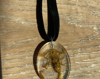 Epoxy Scorpion - Etsy