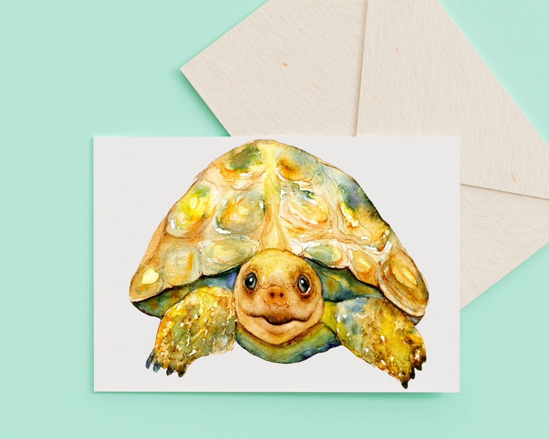 Tortoise Birthday Card, Tortoise Greeting Card, Cards for All Occasions ...