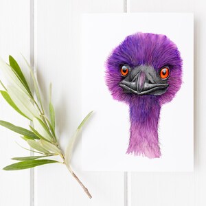 Purple Emu Birthday Card, Greeting Card for All Occasions, Wild Animal ...