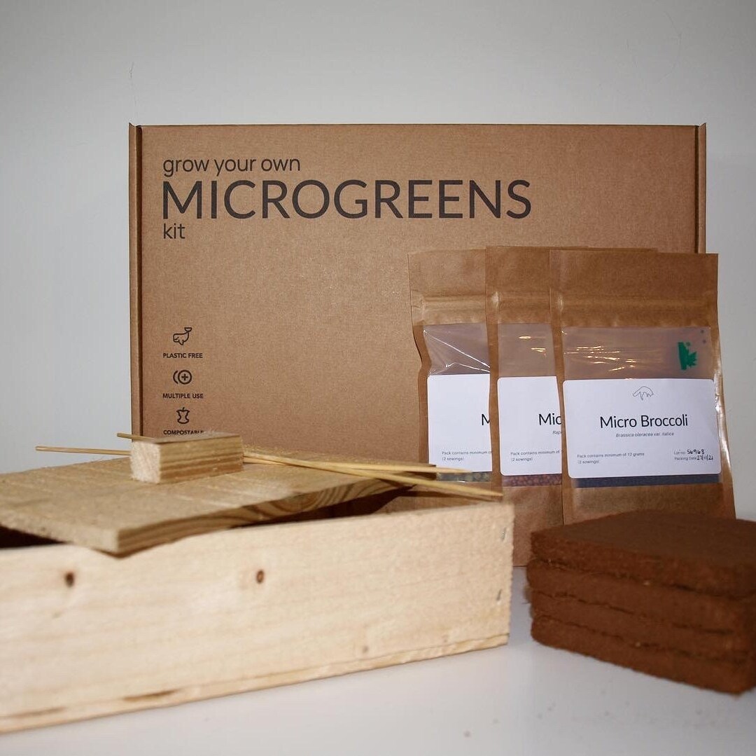 Ecogrow Sustainable Microgreen Grow Kit - Etsy UK