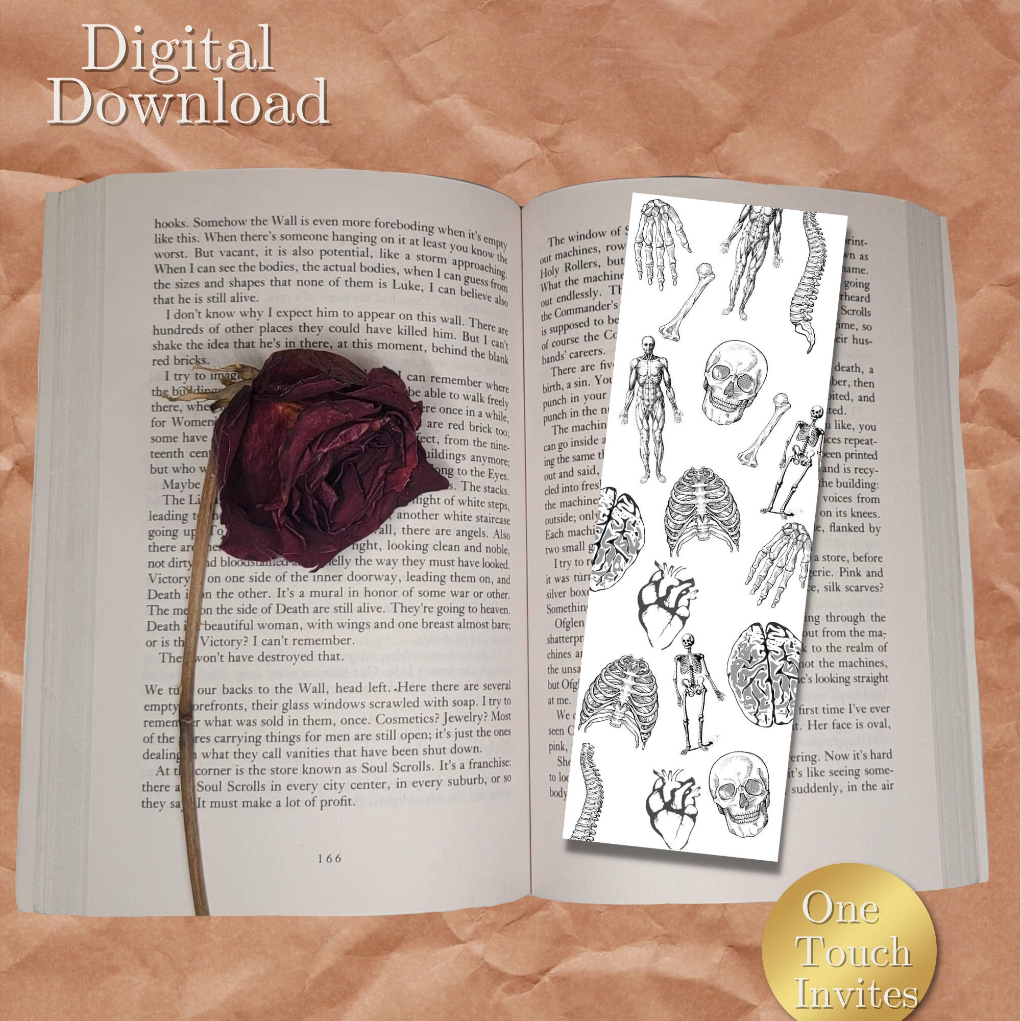 Skeleton Bookmarks Anatomy Bookmarks Spooky Bookmarks Gothic Bookmarks ...