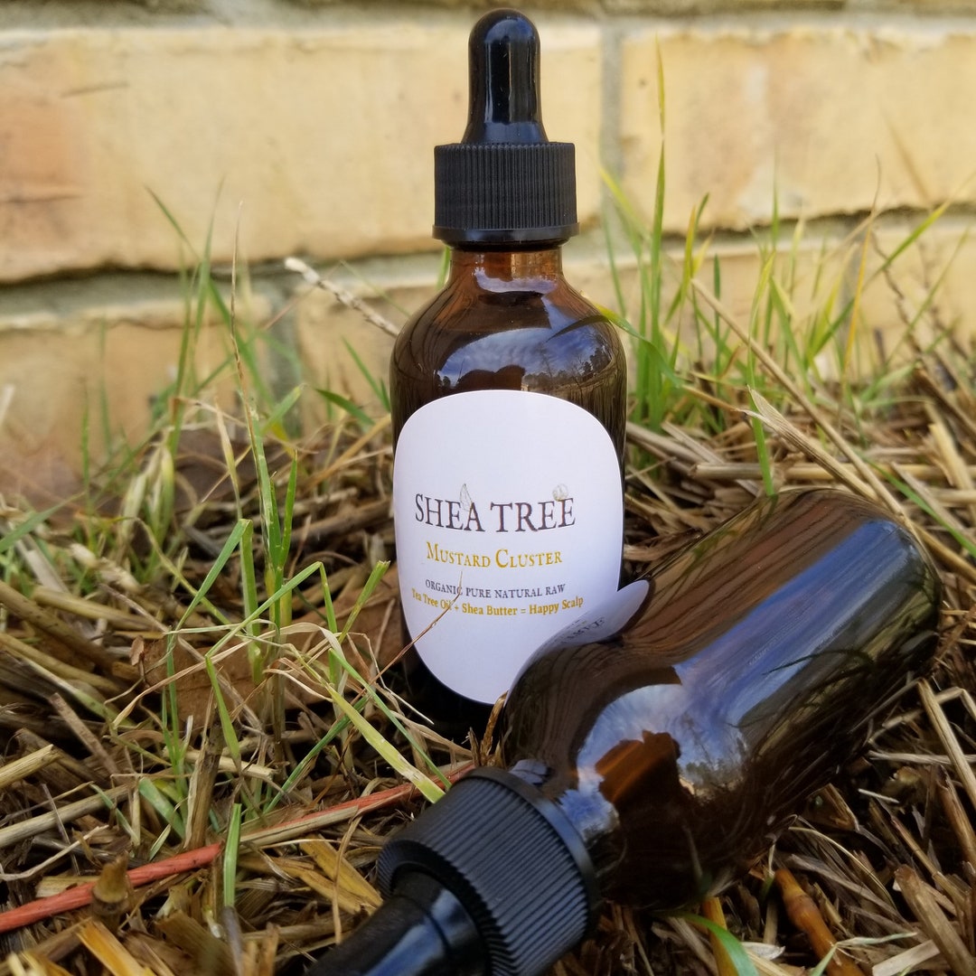 Shea Tree With Extra Virgin Coconut Oil - Etsy