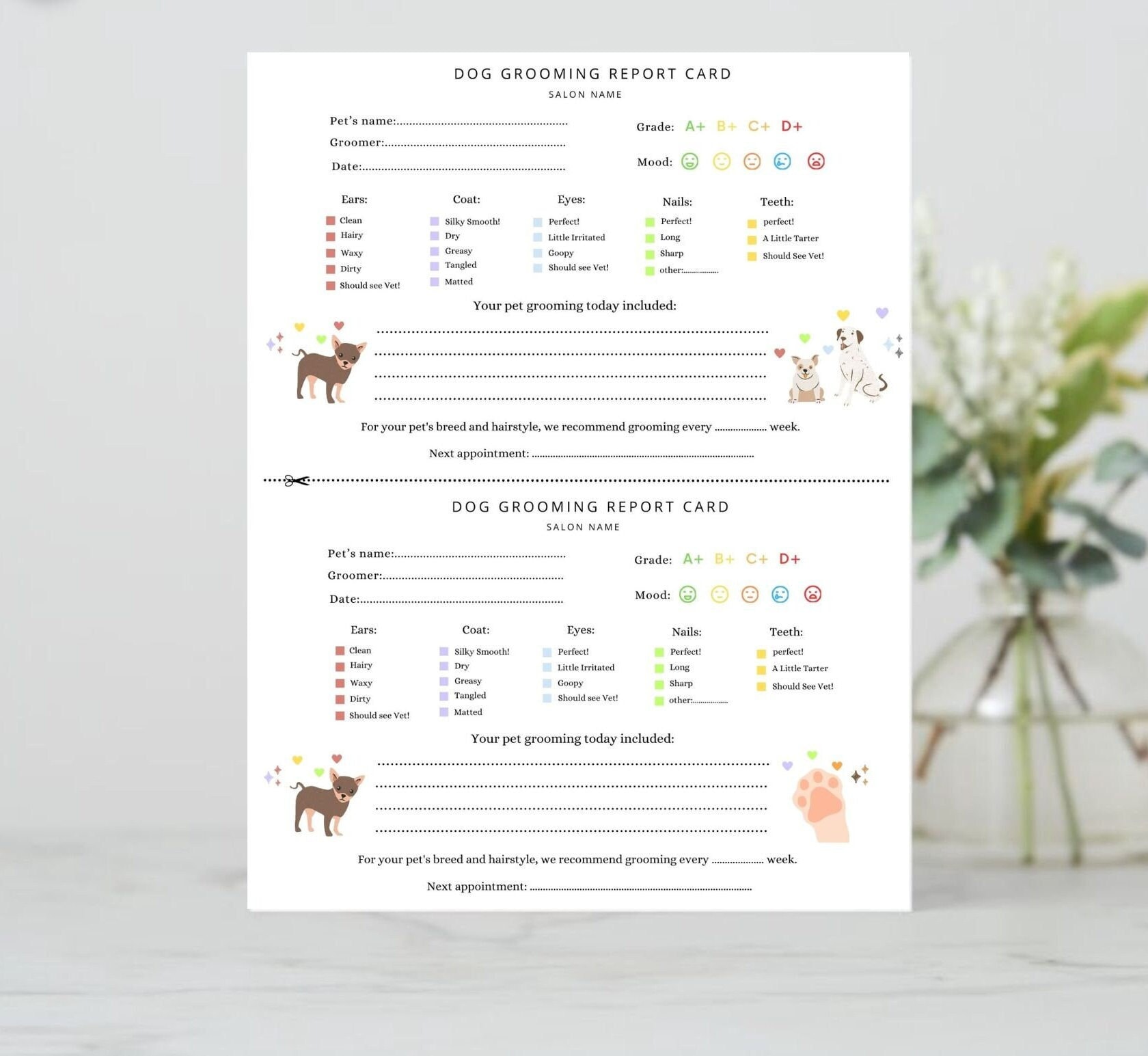 Editable Dog Grooming Report Card, Dog Groomer Report Card Template - Etsy