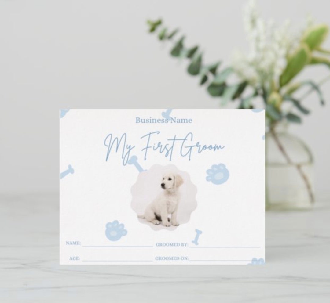 My First Groom Pet Certificate Template, Dog Grooming Business ...