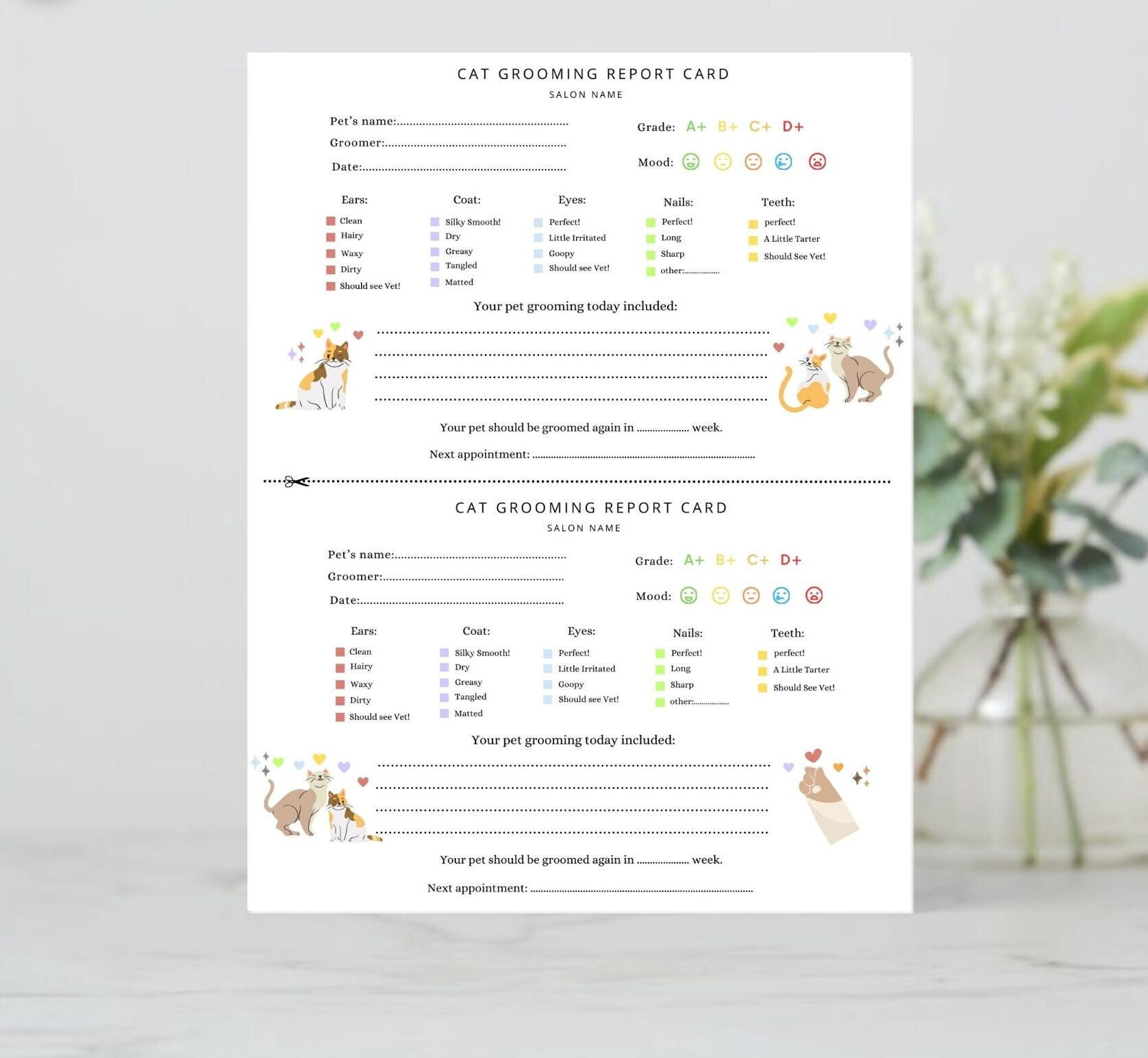Editable Cat Grooming Report Card, Cat Groomer Report Card Template - Etsy
