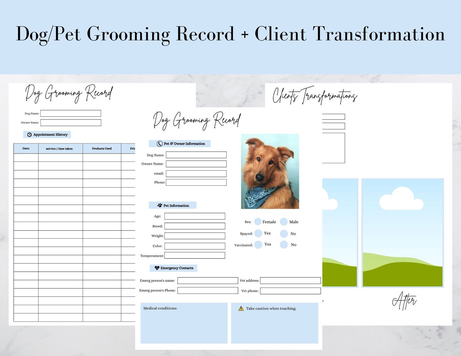 Dog Groomer Record Client Appointment History Pet Groomer - Etsy