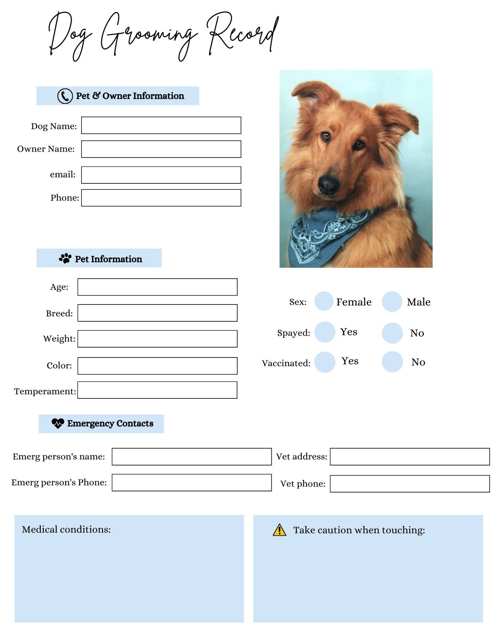 Dog Groomer Record, Client Appointment History, Pet Groomer Record ...