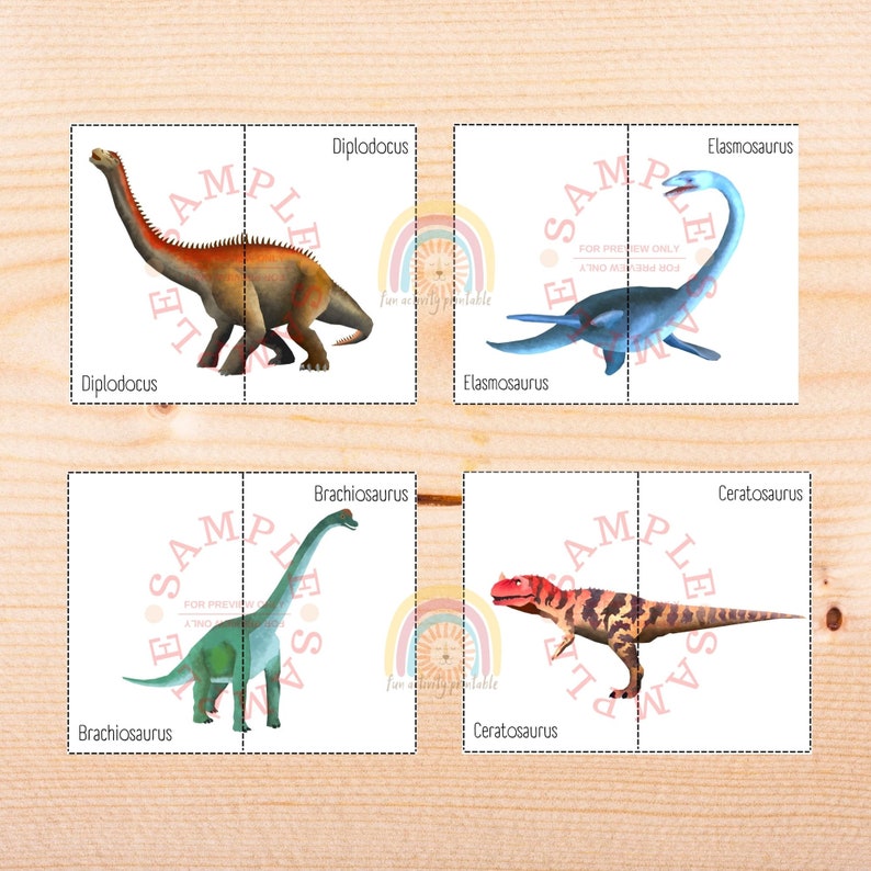 Dinosaur Matching Games Dinosaur Activity for Kids Learn About Dinosaur ...