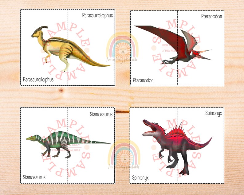 Dinosaur Matching Games Dinosaur Activity for Kids Learn - Etsy