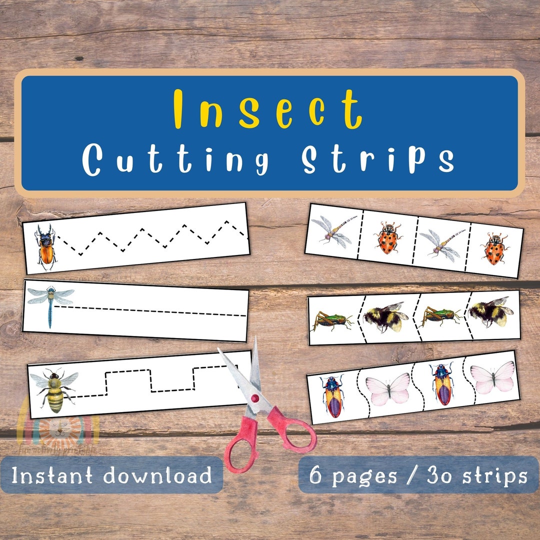 Insect Cutting Strips Printable Cutting Sheets for Kids Preschool ...