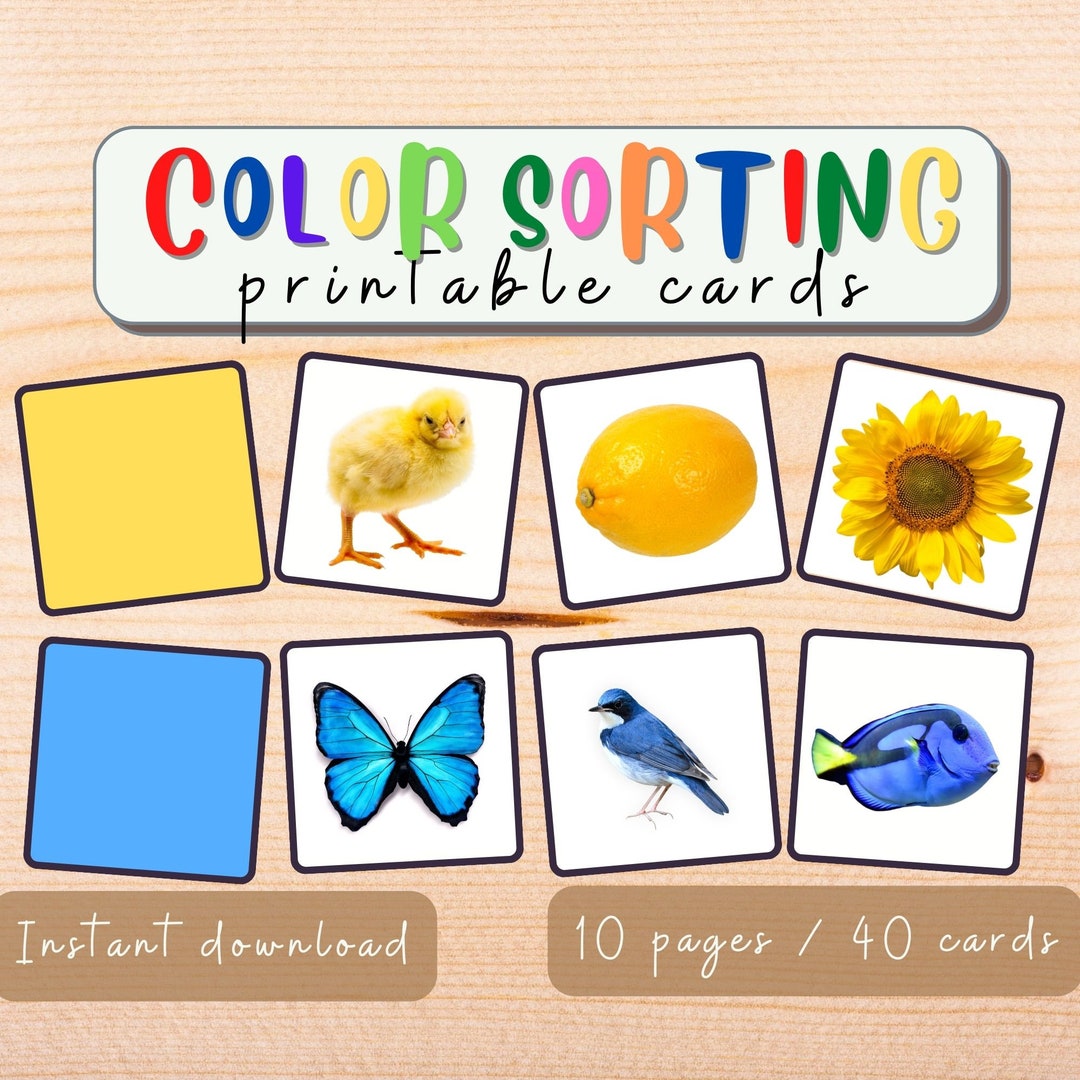 Color Sorting Cards Sort by Color Learn About Color Color Activity ...