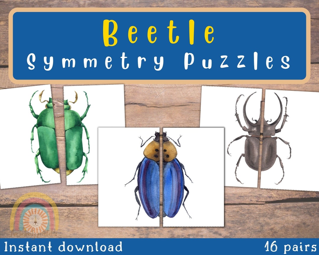 Beetle Symmetry Puzzles Beetle Matching Game Printable - Etsy