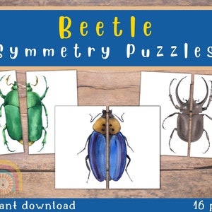 Beetle Symmetry Puzzles Beetle Matching Game Printable | Etsy