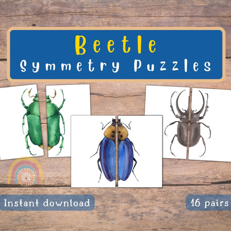 Montessori Beetle - Etsy