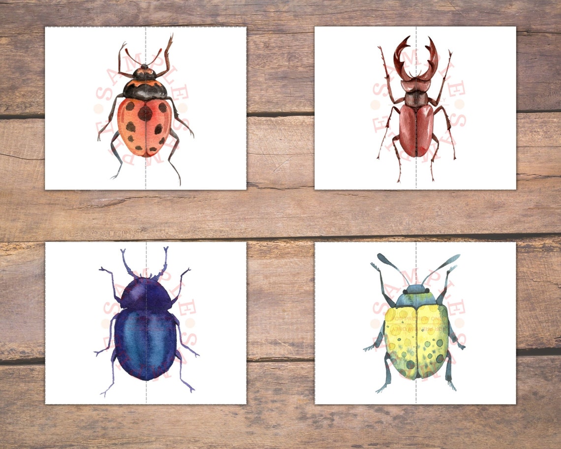 Beetle Symmetry Puzzles Beetle Matching Game Printable - Etsy