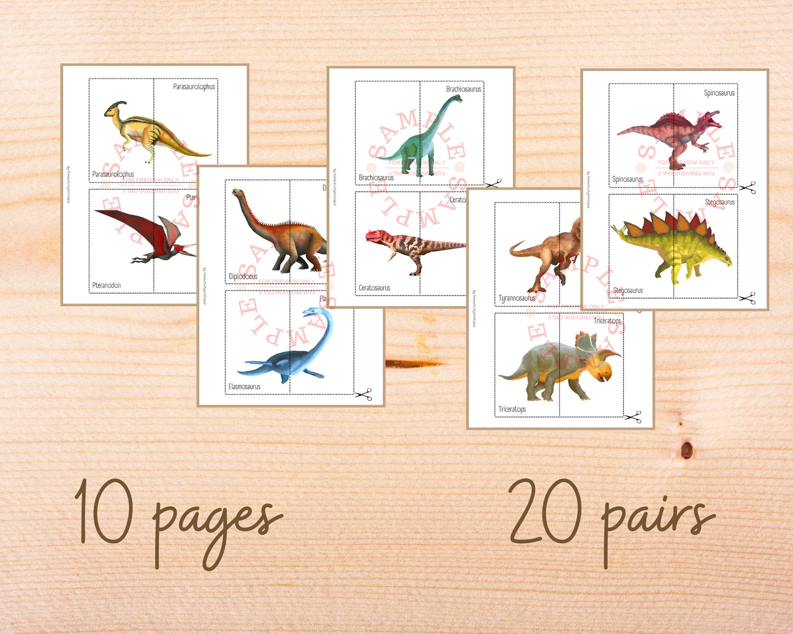 Dinosaur Matching Games Dinosaur Activity for Kids Learn - Etsy