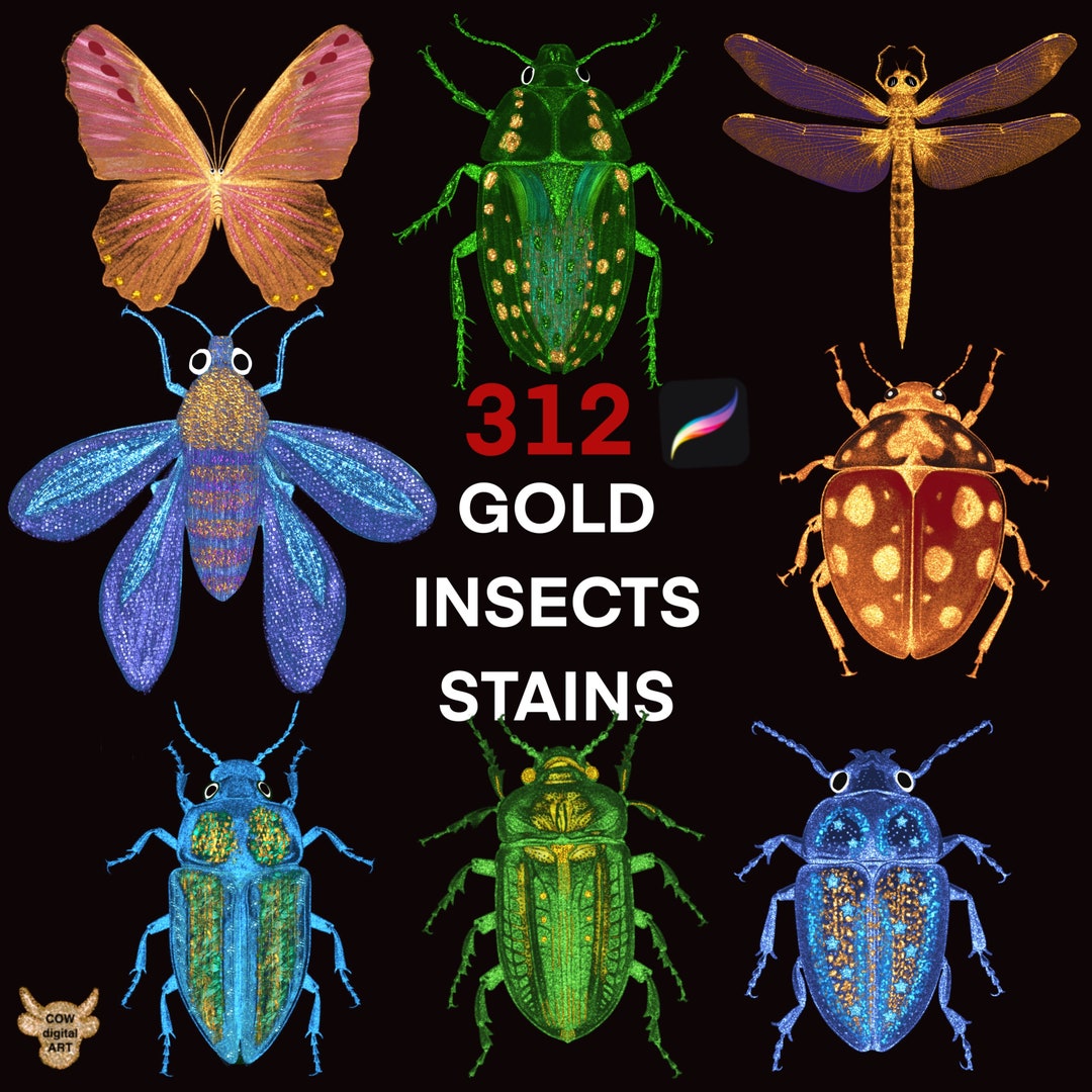 312 GOLD INSECT BRUSH for Procreate,insect Stain Stamps,procreate ...