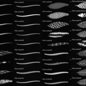 FISH SCALE PROCREATE Brushes,scale Procreate Brushes,procreate Gold ...