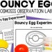 Bouncy Egg Science Observation Experiment - Etsy