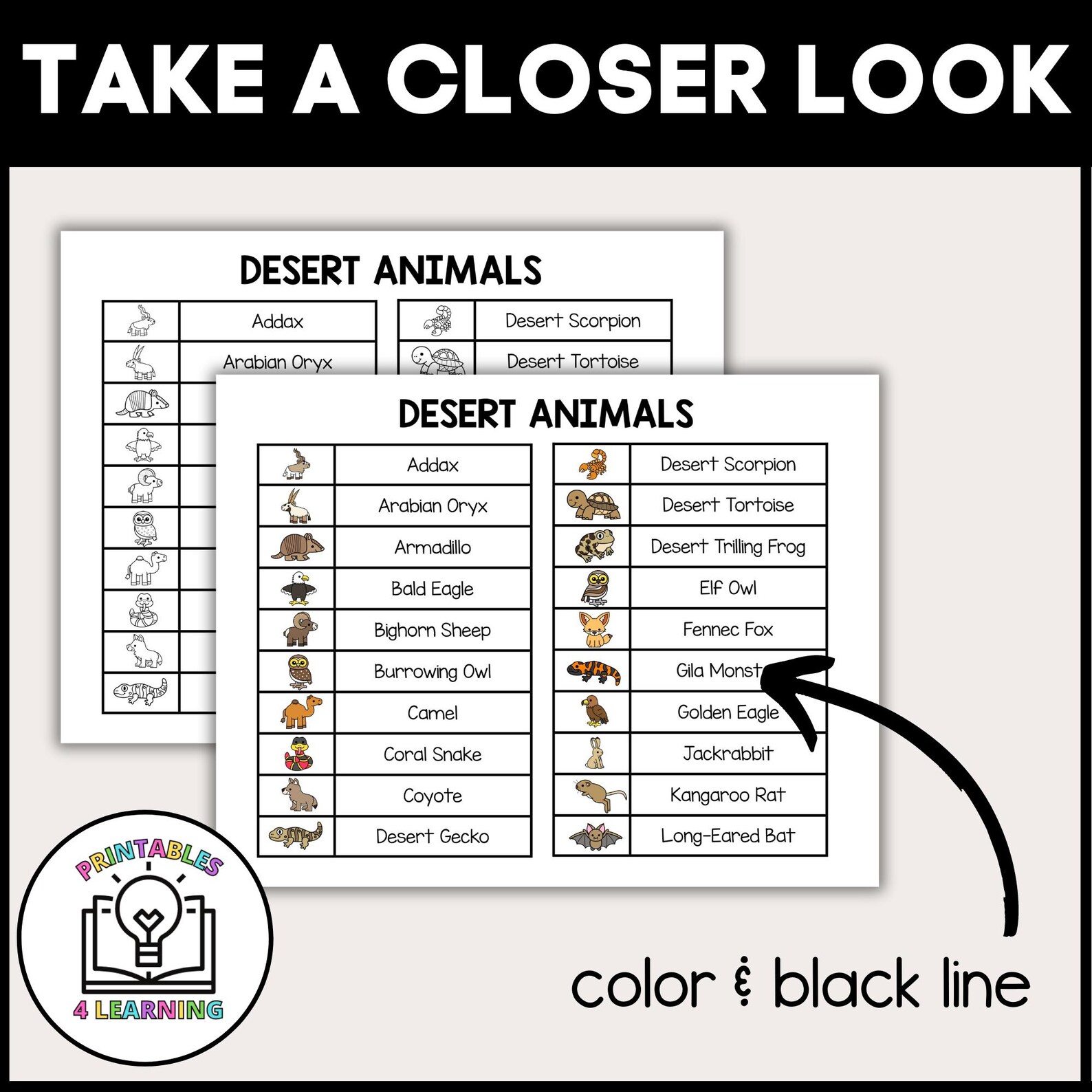 Who Am I? Headbands Game - Desert Animals Edition - Etsy