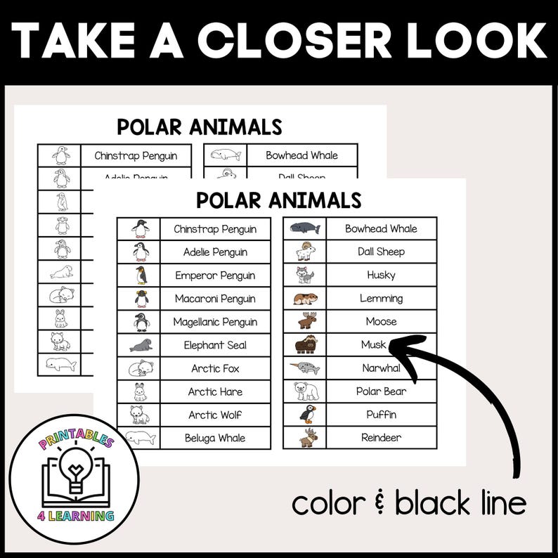 Who Am I? Headbands Game - Polar Animals Edition - Etsy