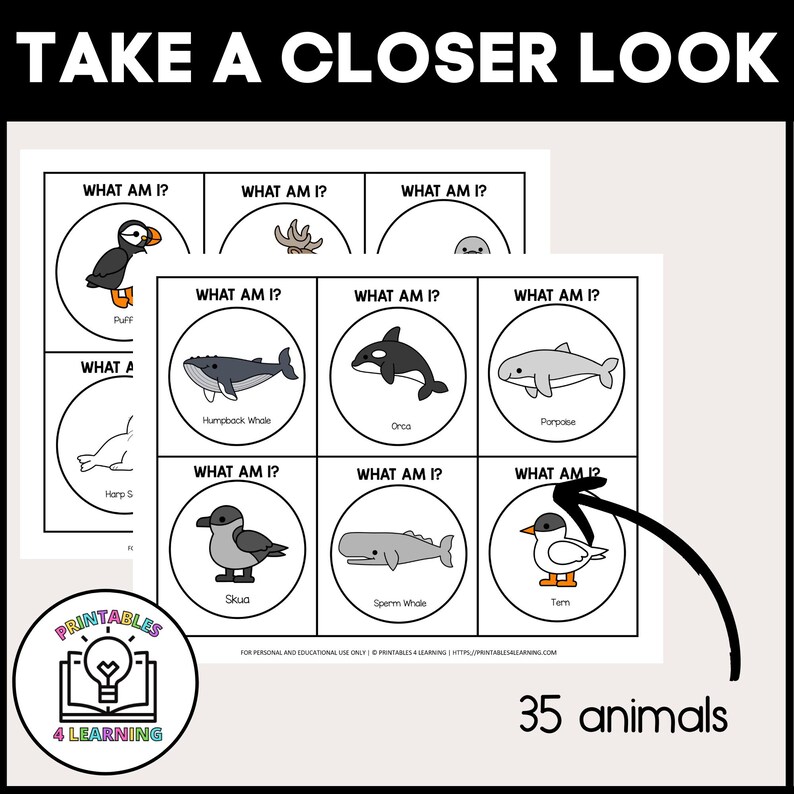 Who Am I? Headbands Game - Polar Animals Edition - Etsy