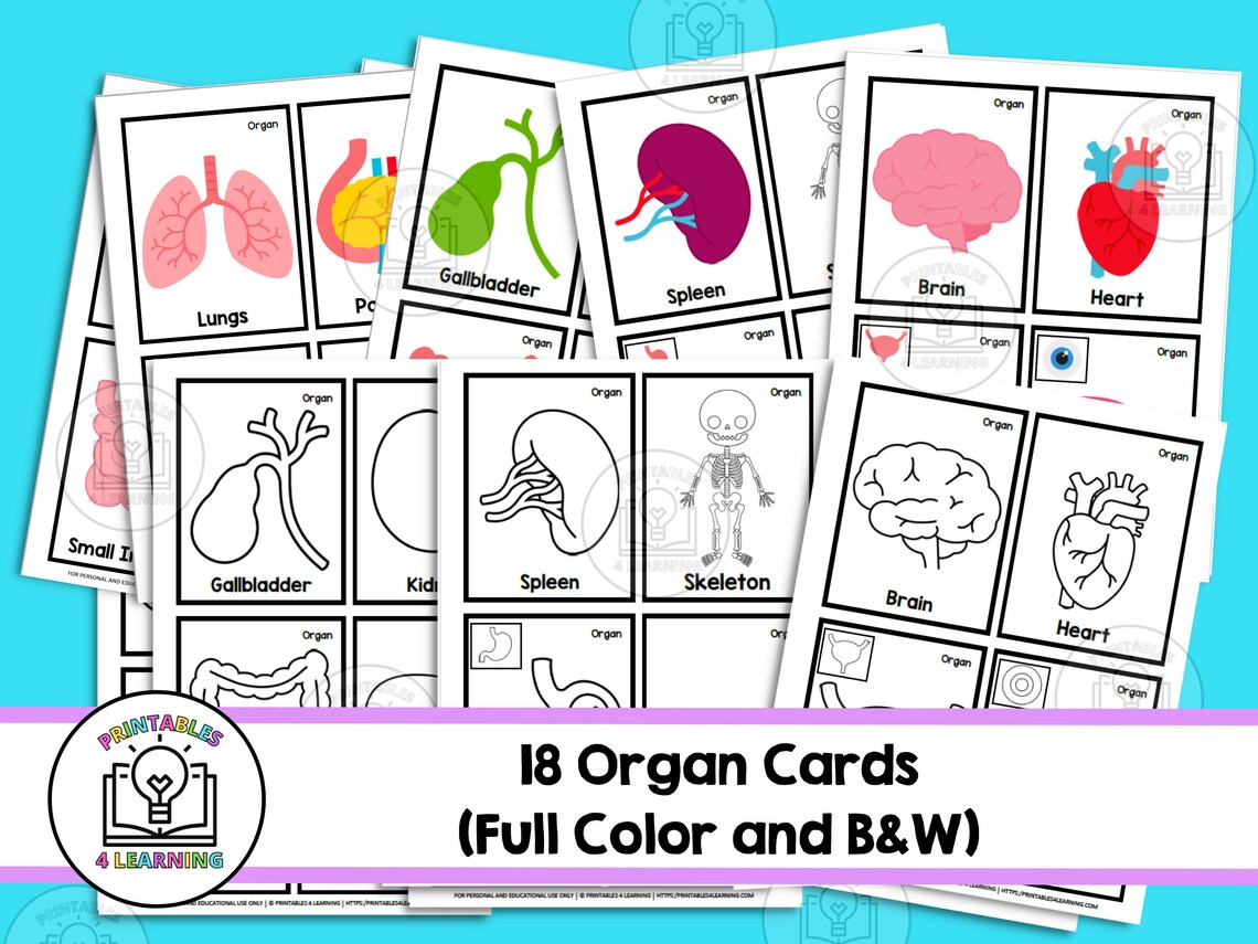 Human Body Play Dough Mats Printable Kids Activity Instant Digital ...