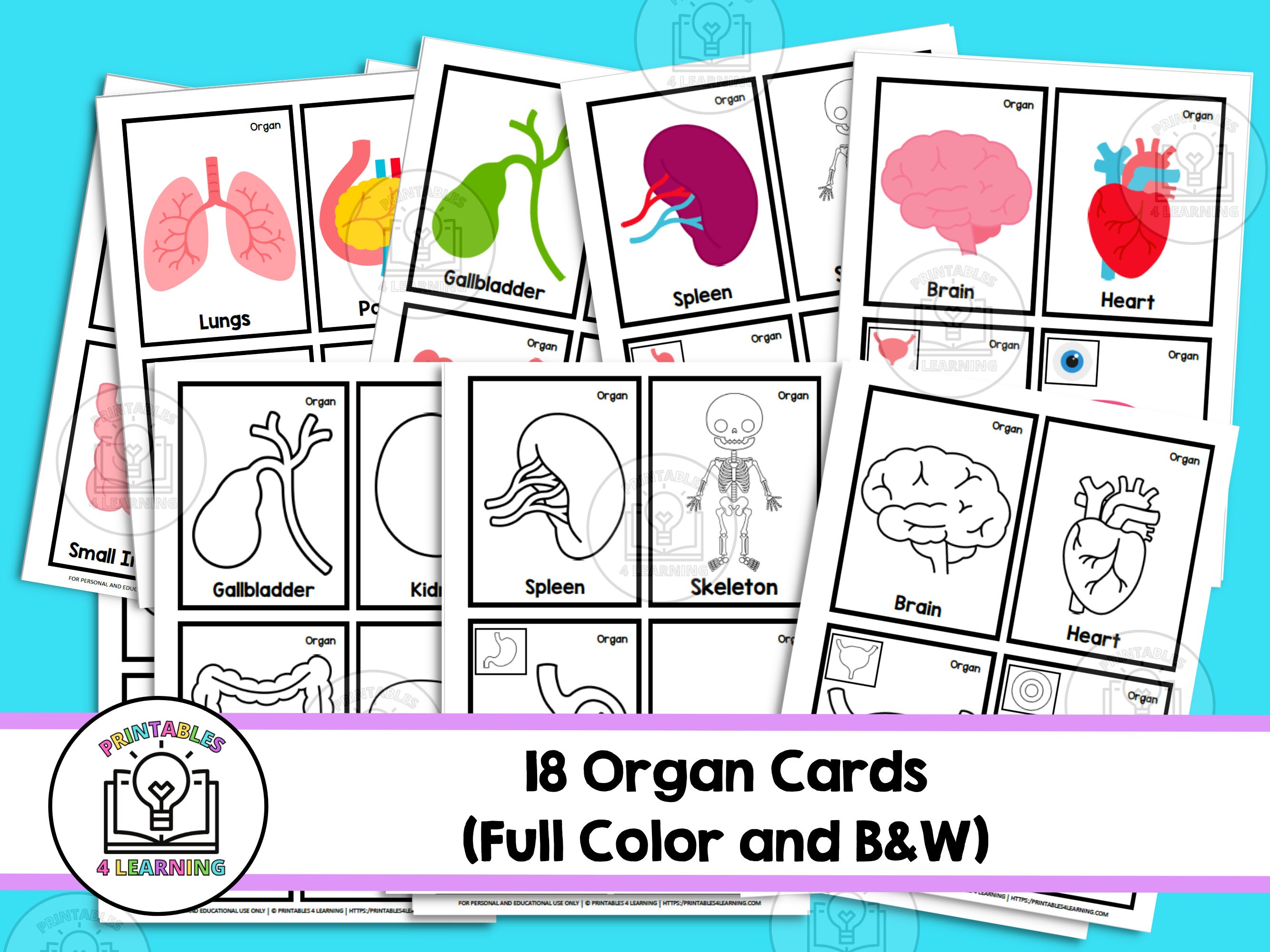 Human Body Play Dough Mats Printable Kids Activity Instant Digital ...