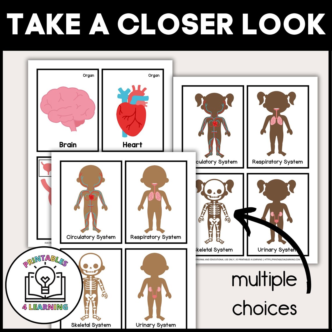 Human Body Play Dough Mats - Printable Kids Anatomy Activity | Instant ...