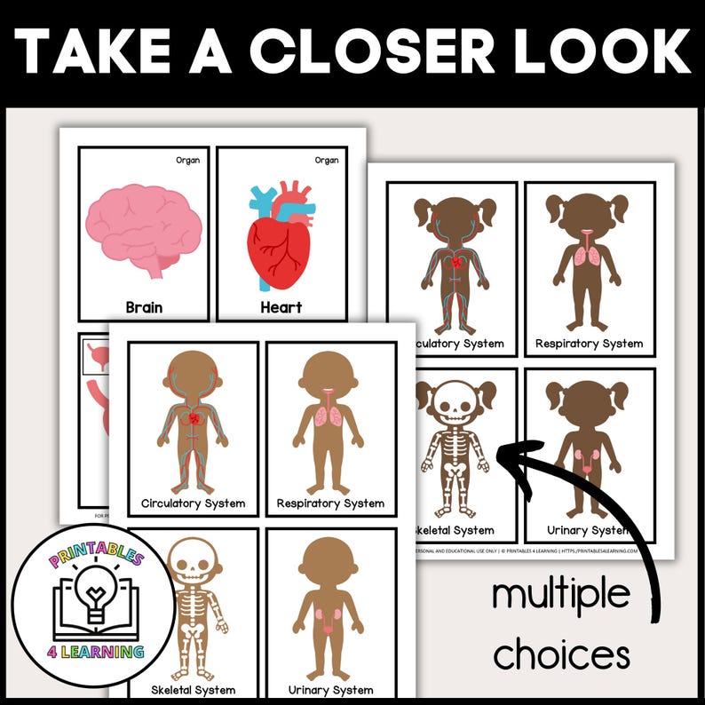 Human Body Play Dough Mats - Printable Kids Anatomy Activity | Instant ...