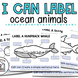 Editable Label an Ocean Animal Worksheets and Mini Book - Etsy