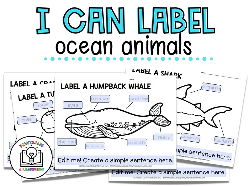 Editable Label an Ocean Animal Worksheets and Mini Book - Etsy