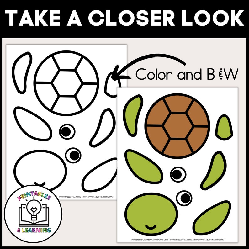 Printable Sea Turtle Cut and Paste Craft - Instant Digital Download - Etsy