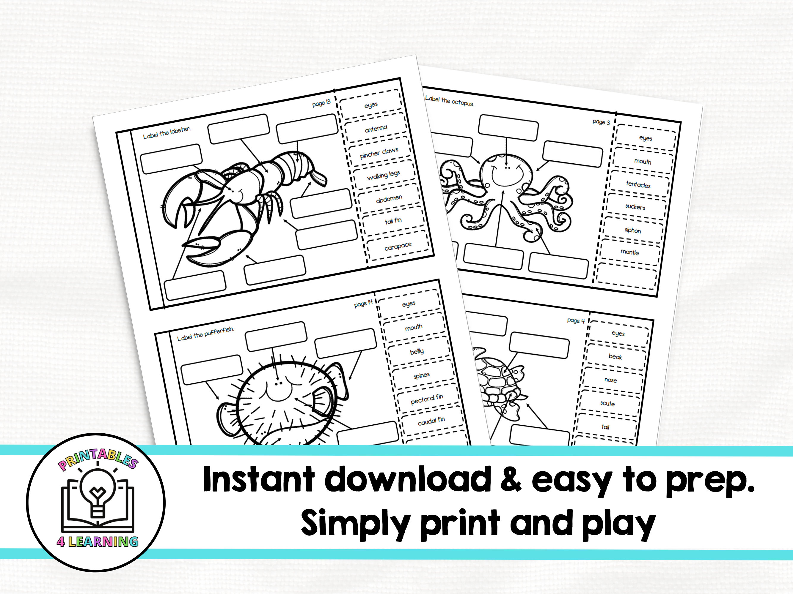 Editable Label an Ocean Animal Worksheets and Mini Book - Etsy