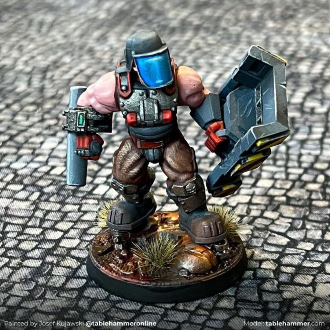 Ogre Riot Team - Ogre Heavy Infantry Riot Team (accell Union)/ Tabletop ...