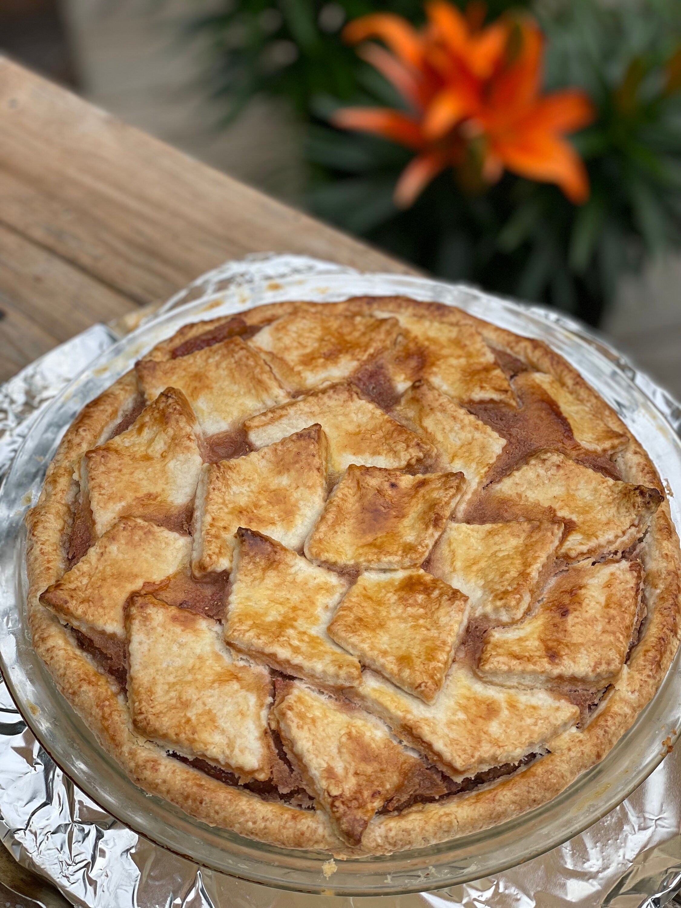 9" Pie Variety Four Pack - Etsy