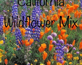 California Native Wildflower Seed Mix - Etsy