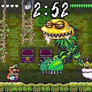 Wario Land Ultimate Collection: 4 Game Bundle - Nintendo Game Boy ...