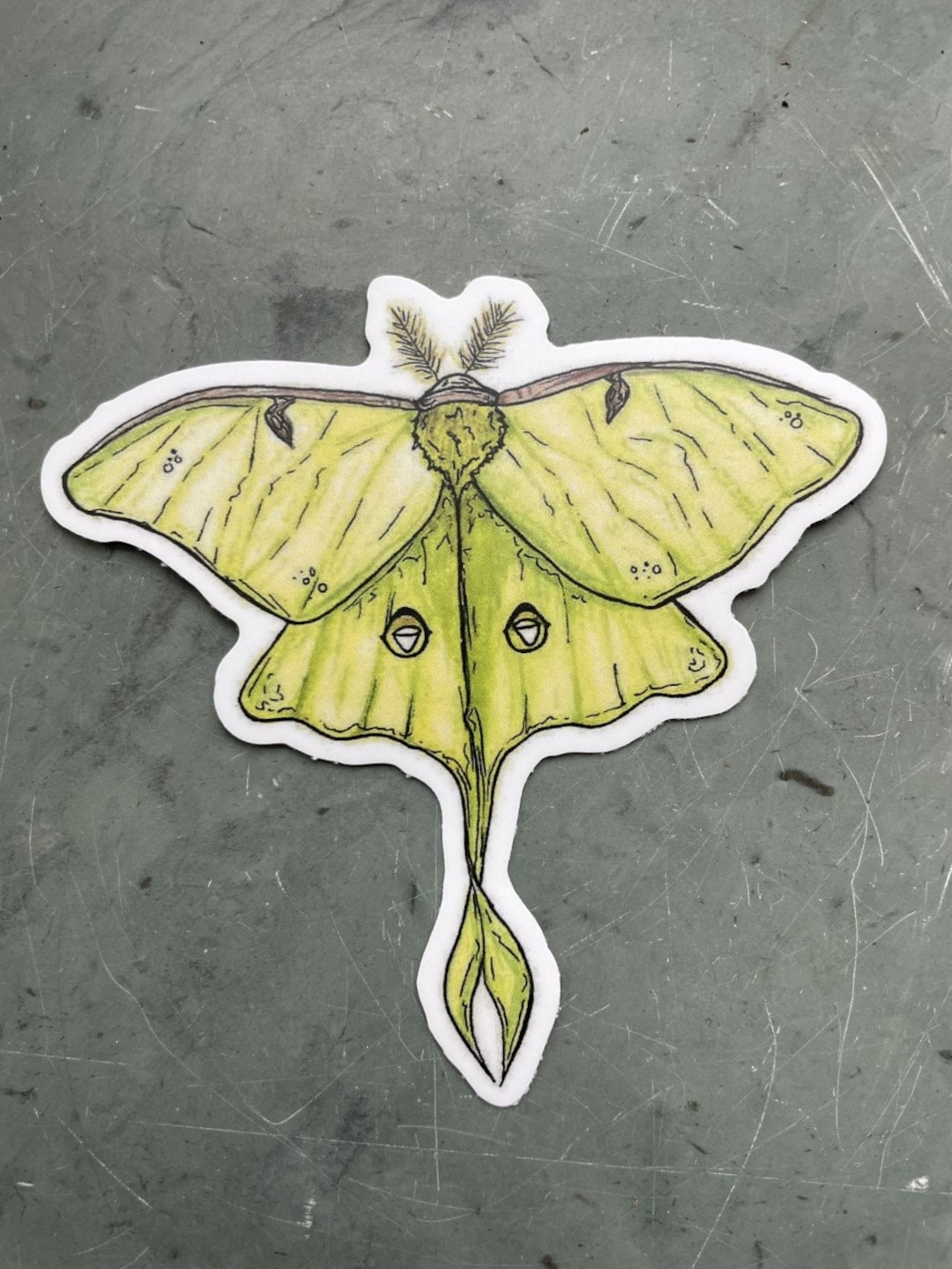 Luna Moth Matte WATERPROOF Vinyl Sticker - Etsy