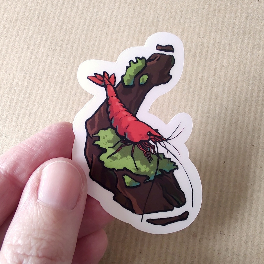 RED CHERRY SHRIMP Clear Sticker | Ornamental Sakura Neocaridina Nano ...